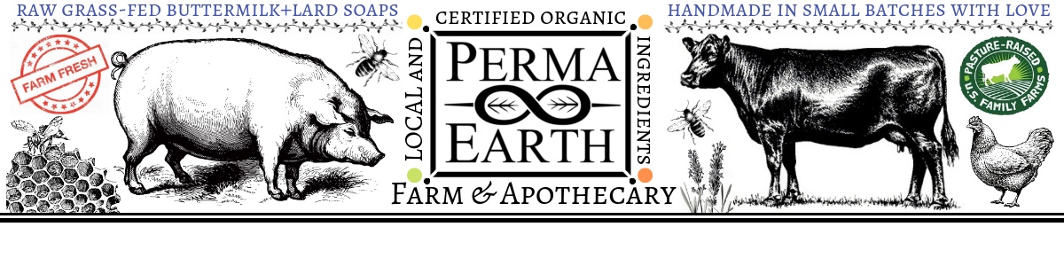 2019 Etsy Banner – PERMA∞EARTH