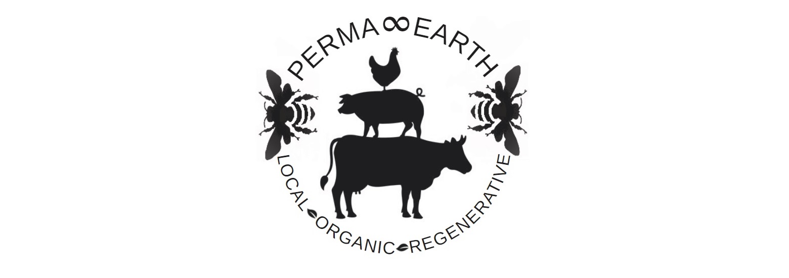 logo website – PERMA∞EARTH