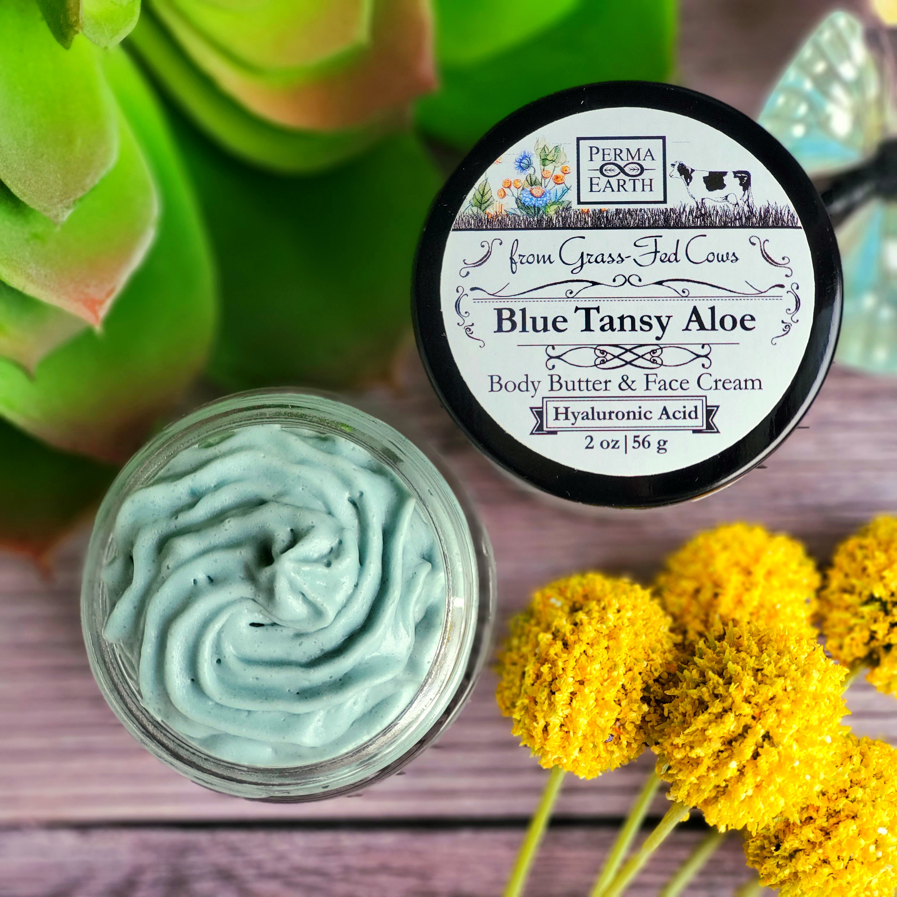 Blue Tansy Aloe Tallow Cream – PERMA∞EARTH