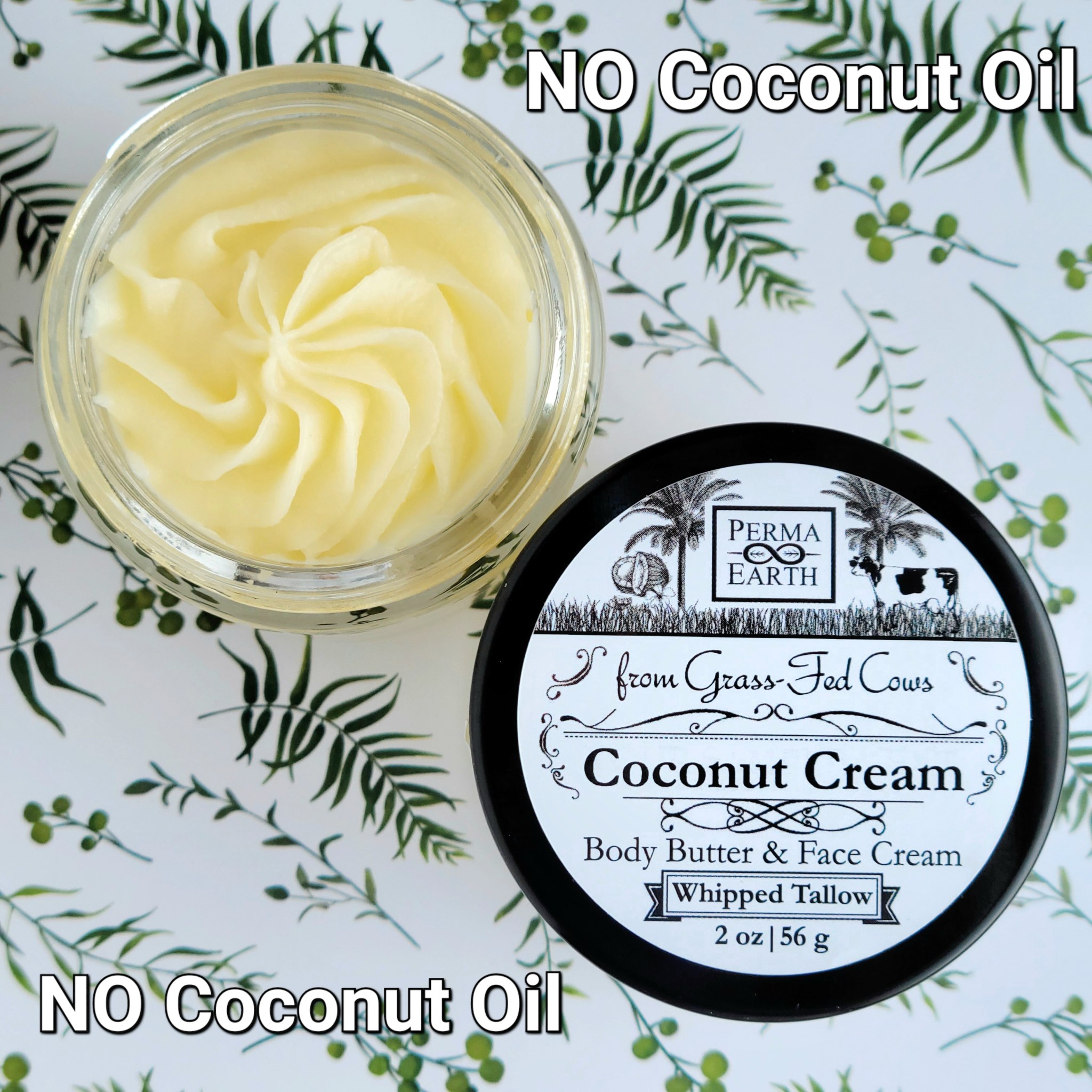 Blue Tansy Aloe Tallow Cream – PERMA∞EARTH