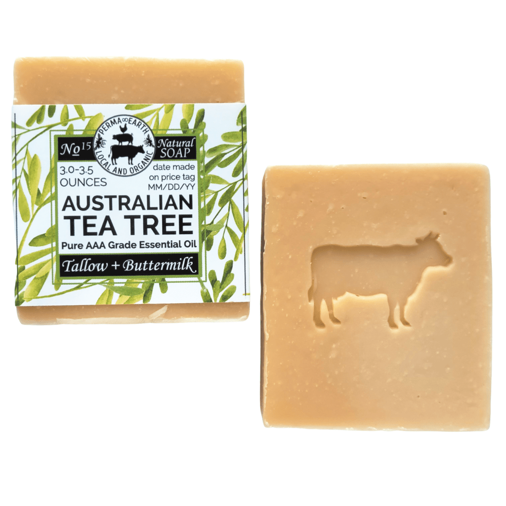 Australian Tea Tree : Natural Tallow + Buttermilk Soap – PERMA∞EARTH