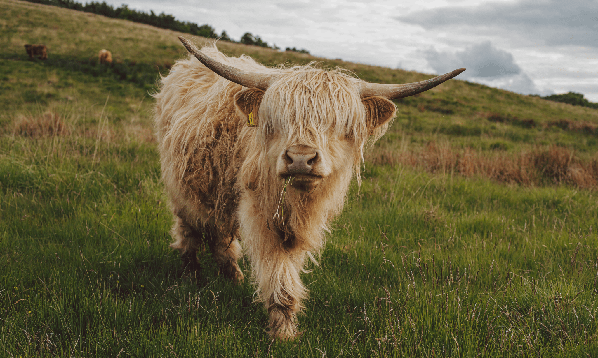 PERMA∞EARTH – Feed Your Hair And Skin From The Outside-In®